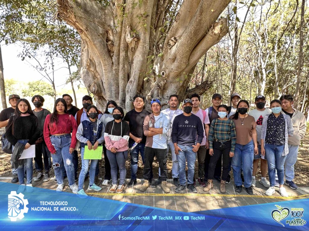 ITVO te invita a cursar la carrera de Ingeniería Forestal - TecNM / I ...