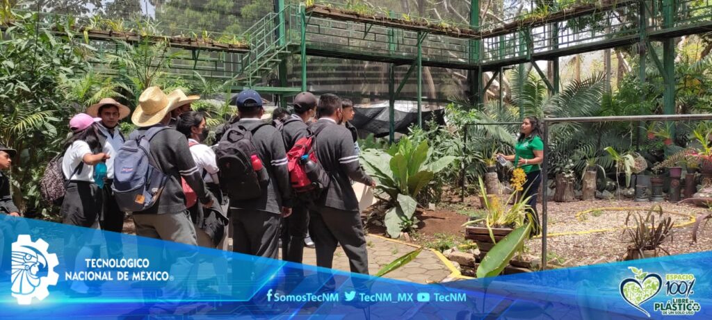 ITVO recibe la visita del CBTA 78 de Villa de Zaachila y del CECYTE de ...