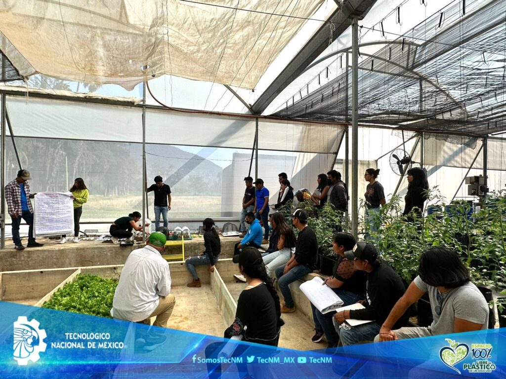 Estudia la carrera de Ingeniería en Agronomía en el ITVO - TecNM / I. T ...