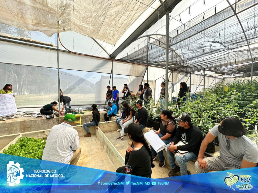 Estudia la carrera de Ingeniería en Agronomía en el ITVO - TecNM / I. T ...